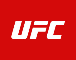 UFC Action Figures and Toys – wrestlingshop.com