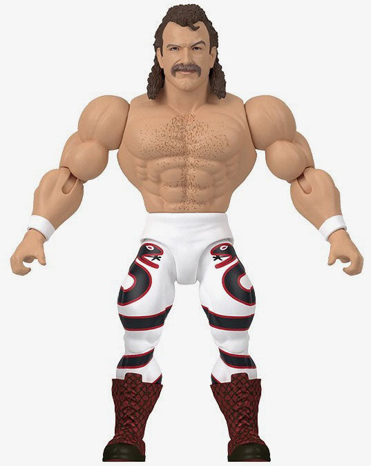 Jake "The Snake" Roberts WWE Superstars Series #13 (Chase variant ...