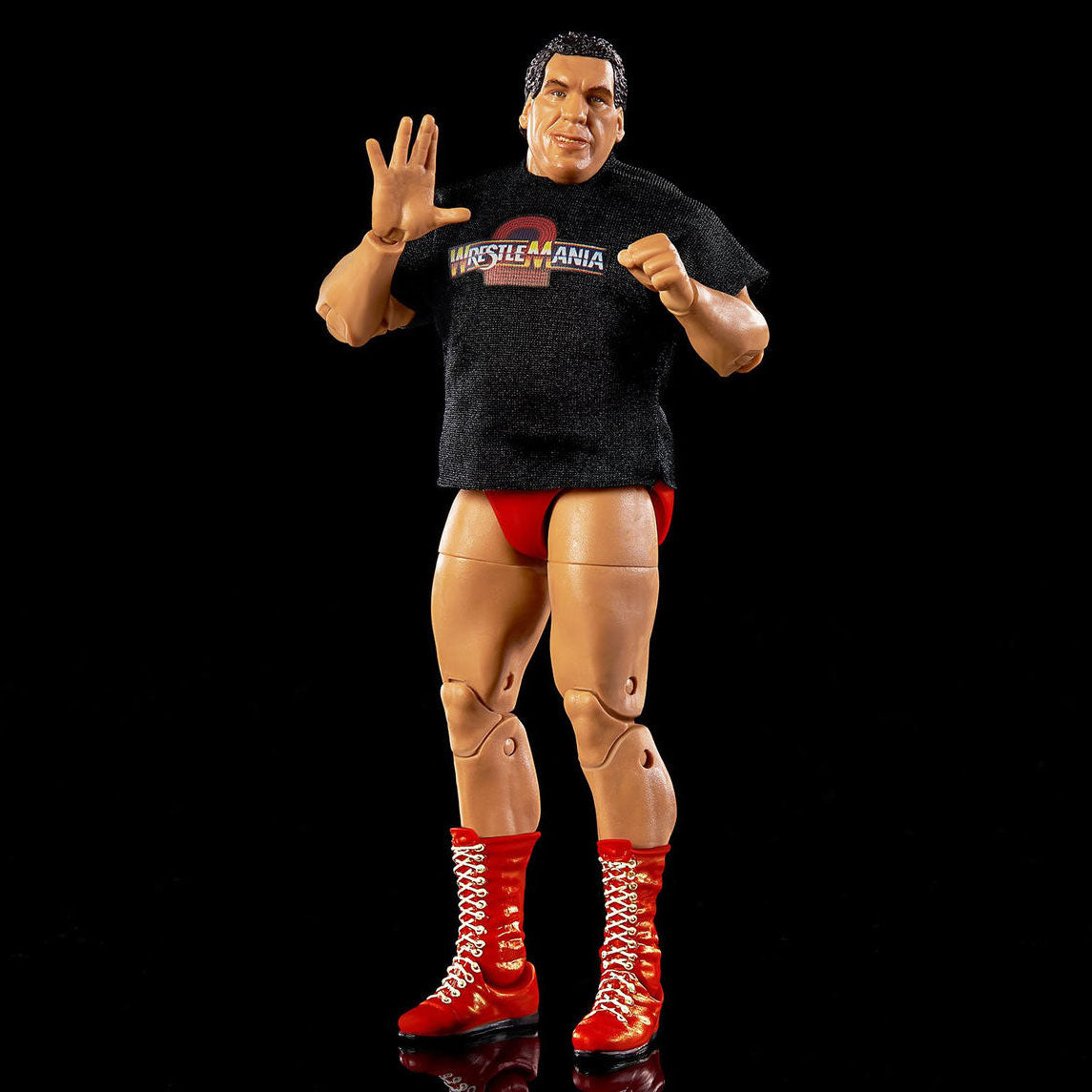 Andre The Giant WWE Legends Series #21 (Chase Variant) Action Figure – wrestlingshop.com