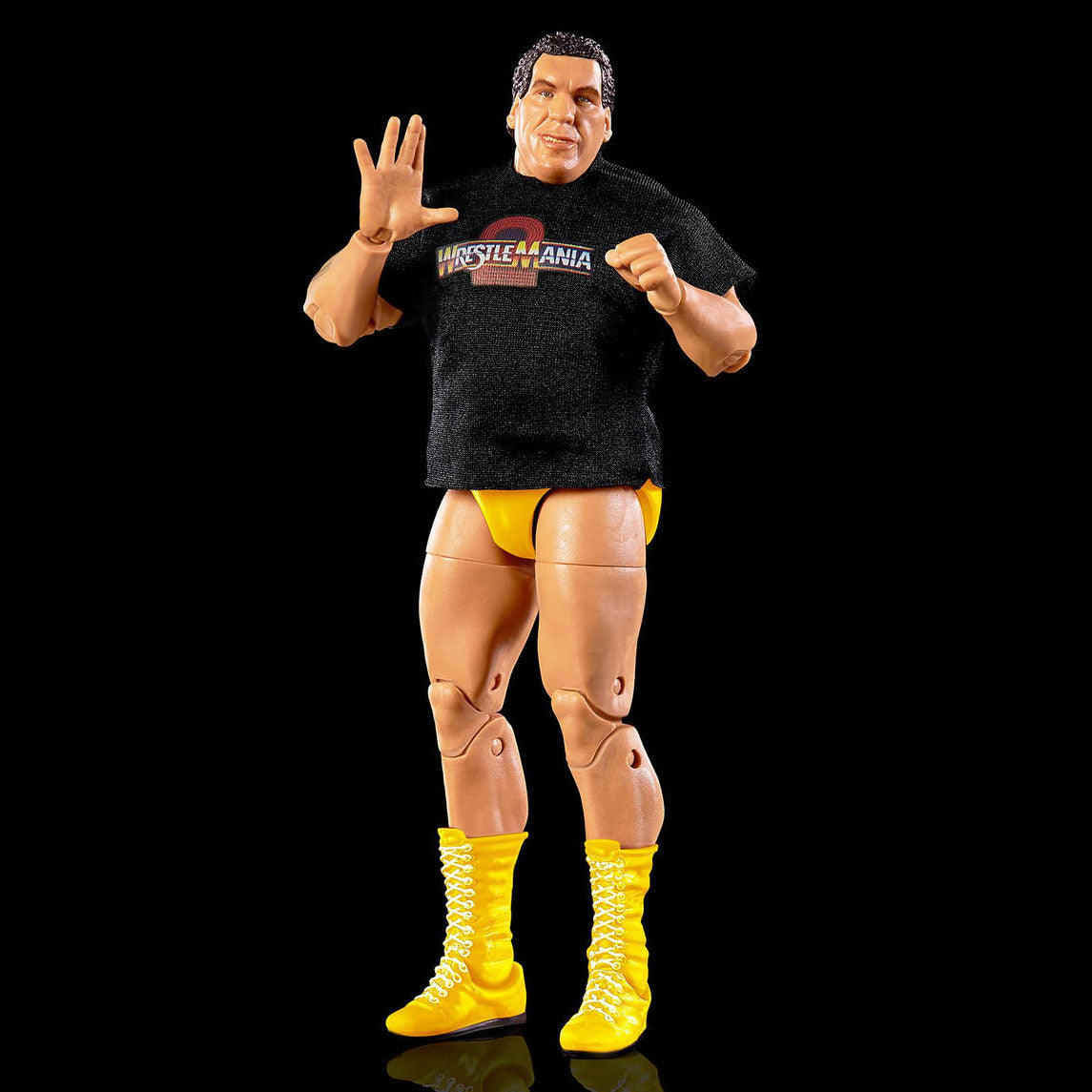 Andre The Giant WWE Legends Series #21 Action Figure – wrestlingshop.com