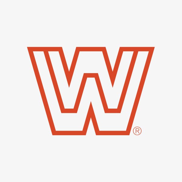 Hurricane WWE Superstars Series #16 Action Figure – wrestlingshop.com